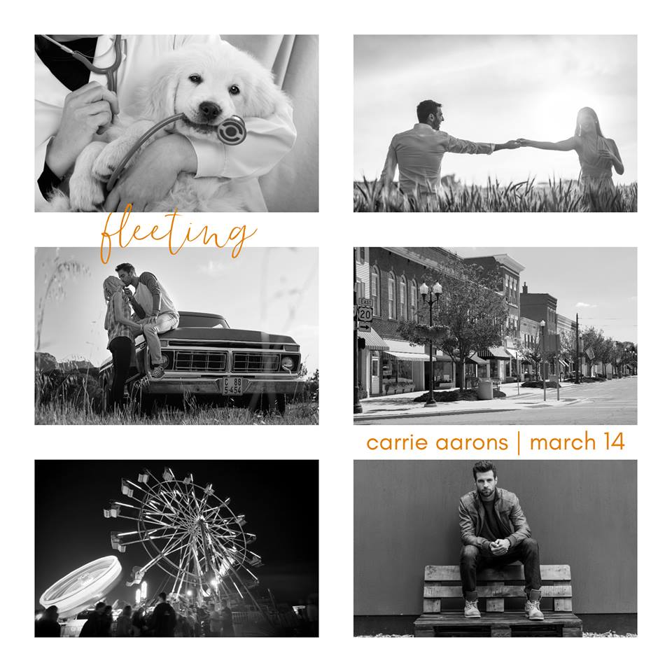 Book Review: Fleeting by Carrie Aarons – Randa Knight